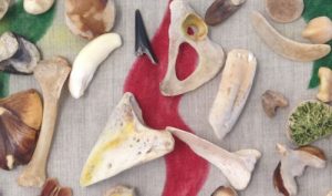 Dr. JoAnne Dodgson | Live In Balance From Your Heart