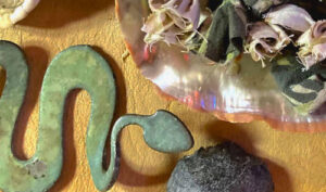 Dr. JoAnne Dodgson | Live In Balance From Your Heart