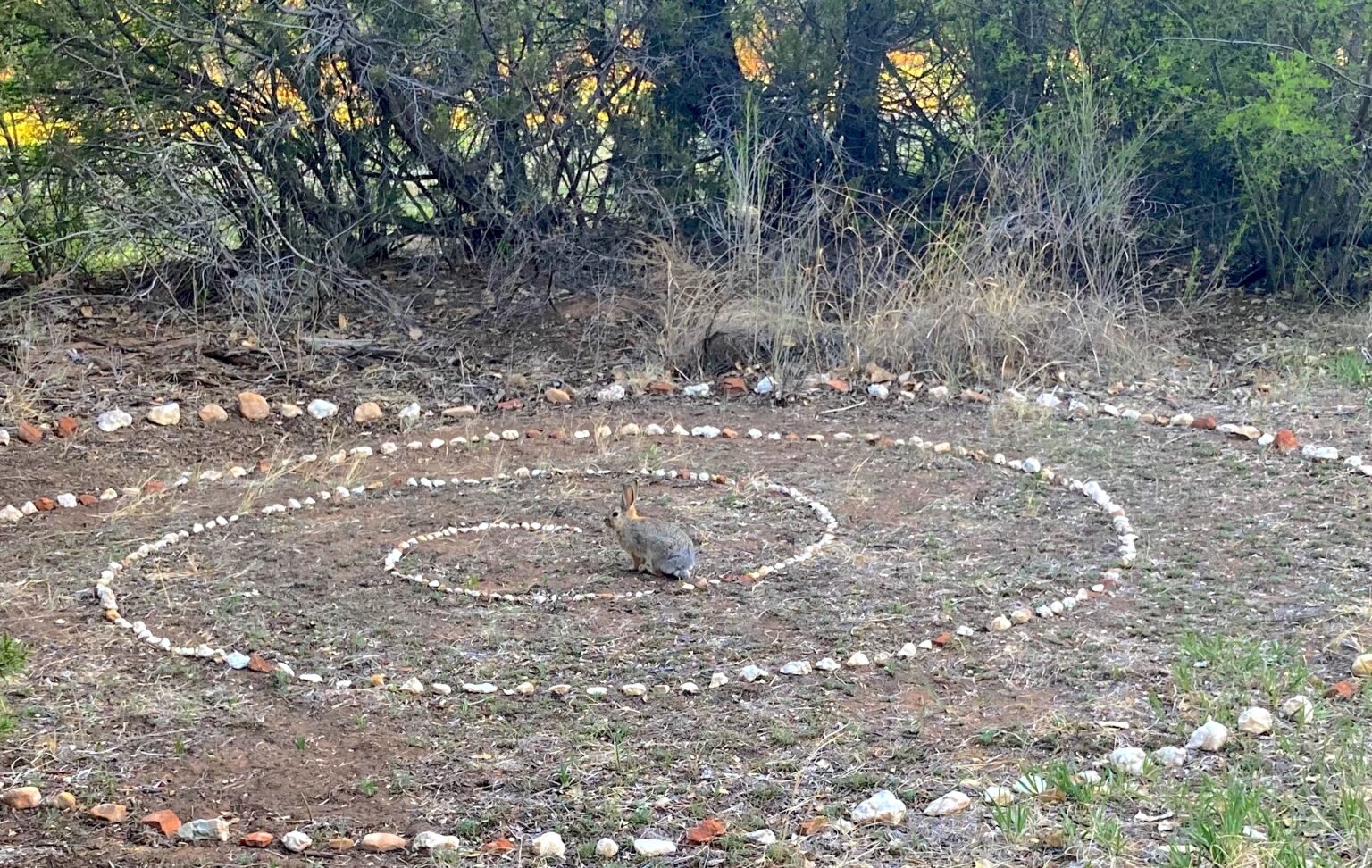 Spiral Path | Dr. JoAnne Dodgson